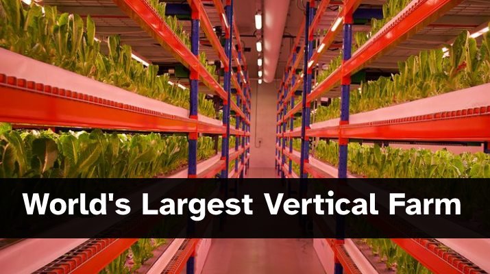 World's largest vertical farm | Emirates Flight Catering has opened a Farm